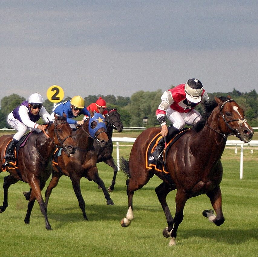 Press Release - Weitsman, Portnoy Purchase Racehorse at Saratoga ...